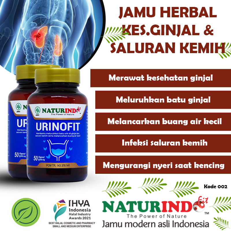 Jual Urinofit Herbal Naturindo untuk membantu mengurangi gejala batu ...