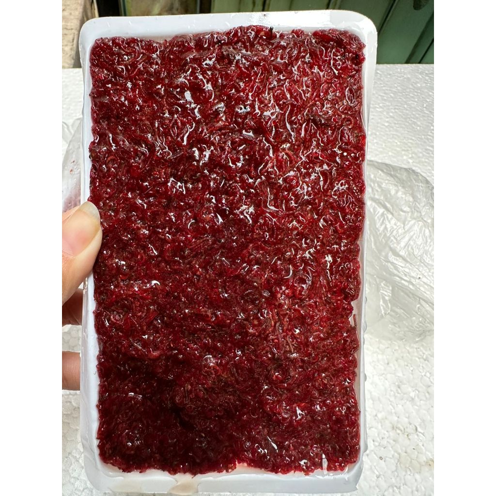 Jual pakan cacing beku tray 1kg | Shopee Indonesia