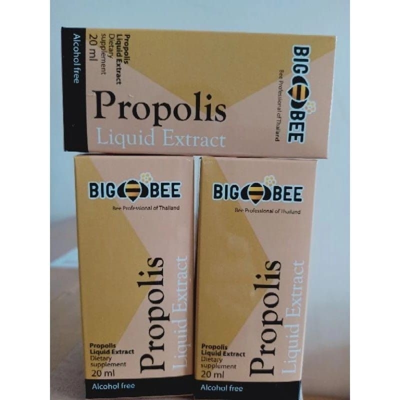 Jual Propolis BIG BEE Original Obat Kolesterol Dan Asam Urat Atasi ...