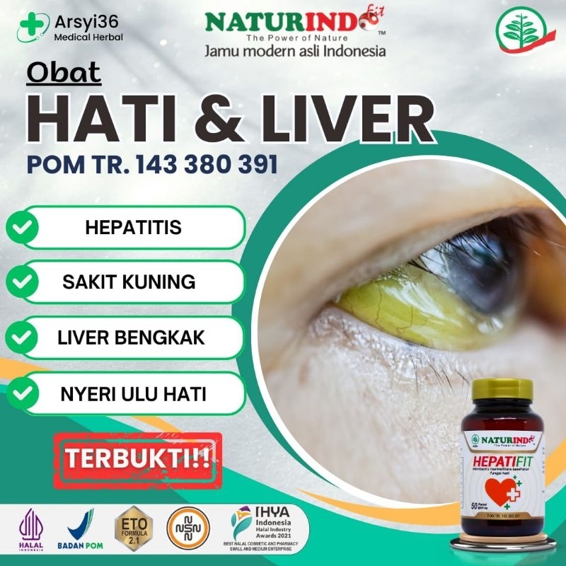 Jual Obat Liver Bengkak Hepatitis Hati Tifus Tipes Sakit Kuning Sakit ...
