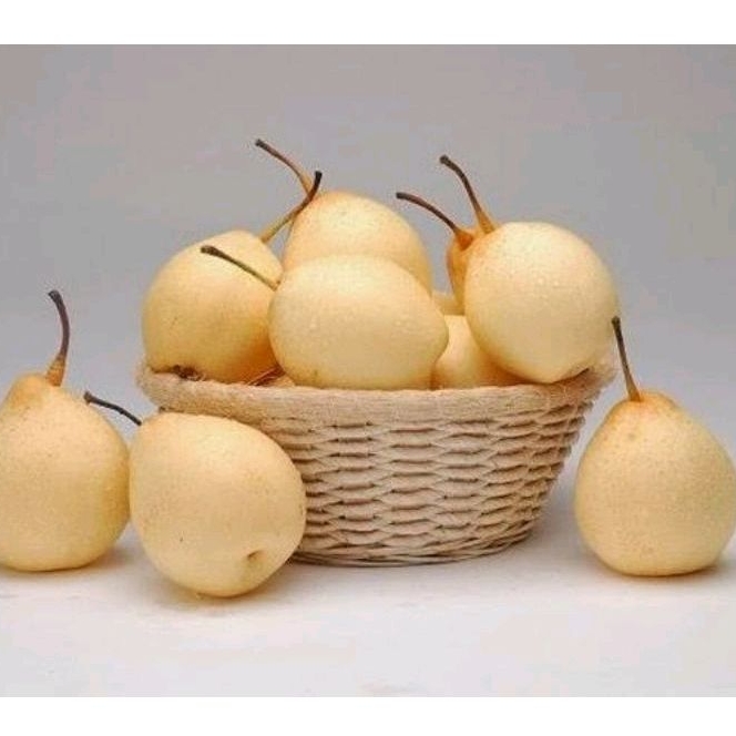 Jual Pear Yalie 500g (Segar) | Shopee Indonesia