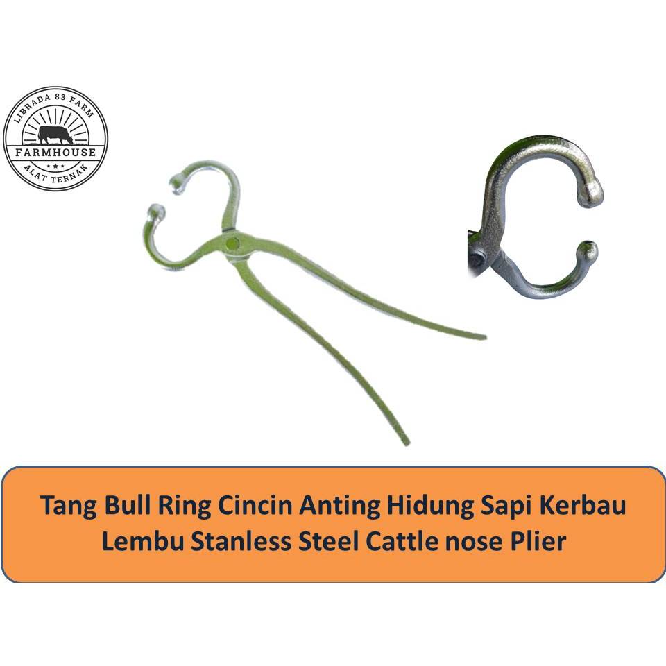 Jual Tang Penjepit Hidung Pasang Bull Ring Cincin Anting Hidung Sapi ...