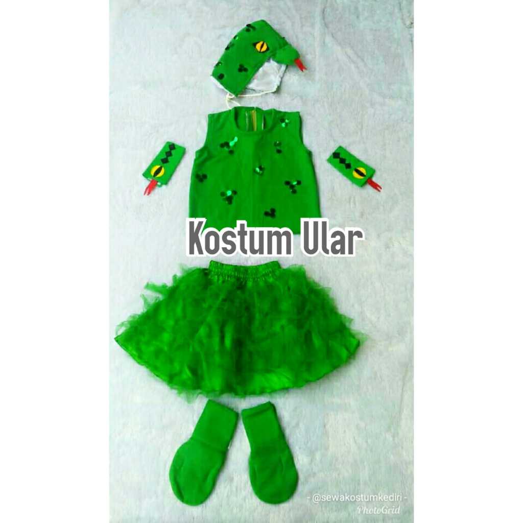 Jual Kostum Ular Anak Karnaval Baju Drama Pentas Snake Costume Kids ...