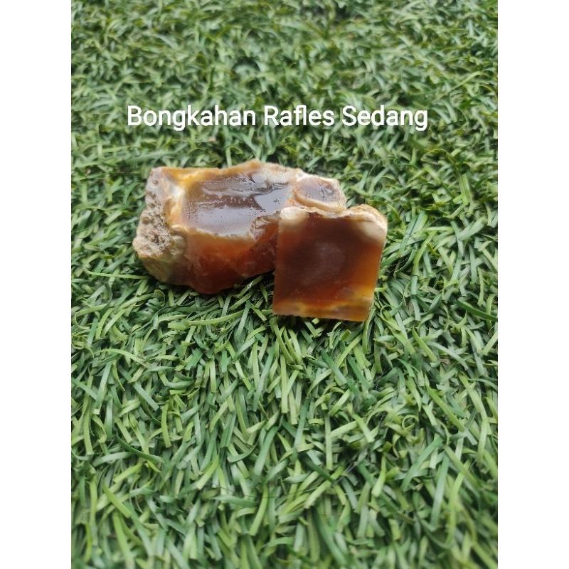 Jual Bahan Batu Red Rafflesia Dijamin Asli Natural Alam | Shopee Indonesia