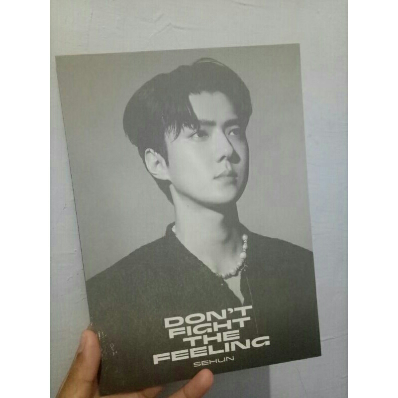 Jual Poster EXO album Dont Fight The Feeling | Shopee Indonesia