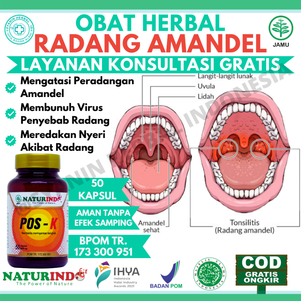Jual Obat Radang Tenggorokan Obat Amandel Paling Ampuh Obat Amandel ...