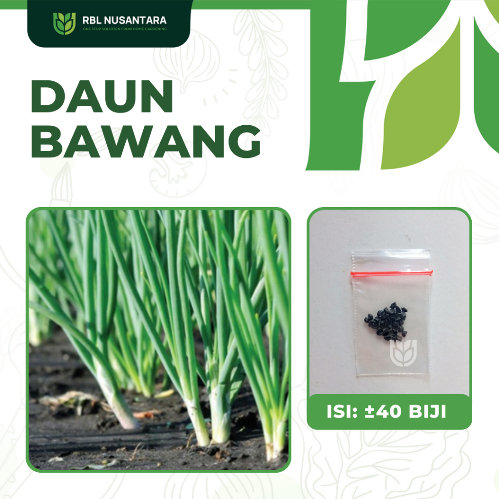 Jual BENIH SAYURAN - 40 Benih Daun Bawang Loncang F1 | Shopee Indonesia