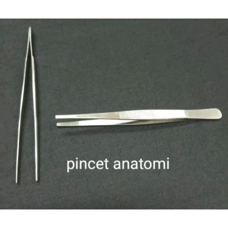 Jual Pinset Anatomi Medis 14 cm | Shopee Indonesia
