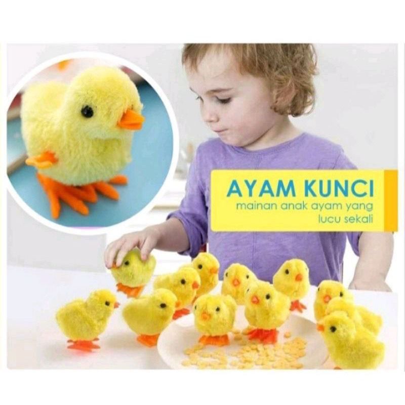 Jual MAINAN ANAK AYAM AYAMAN KUNCI PUTAR MAINAN AYAM KUNCI VIRAL ...