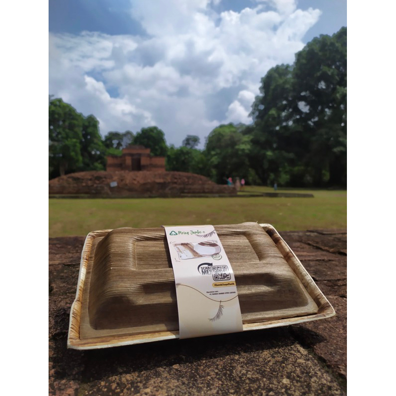 Jual Box pelepah pinang take away 6 pcs | Shopee Indonesia