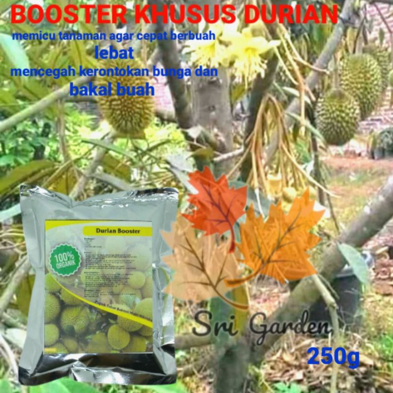 Jual Pupuk booster durian agar cepat berbuah lebat anti rontok bunga dan bakal buah pupuk ...