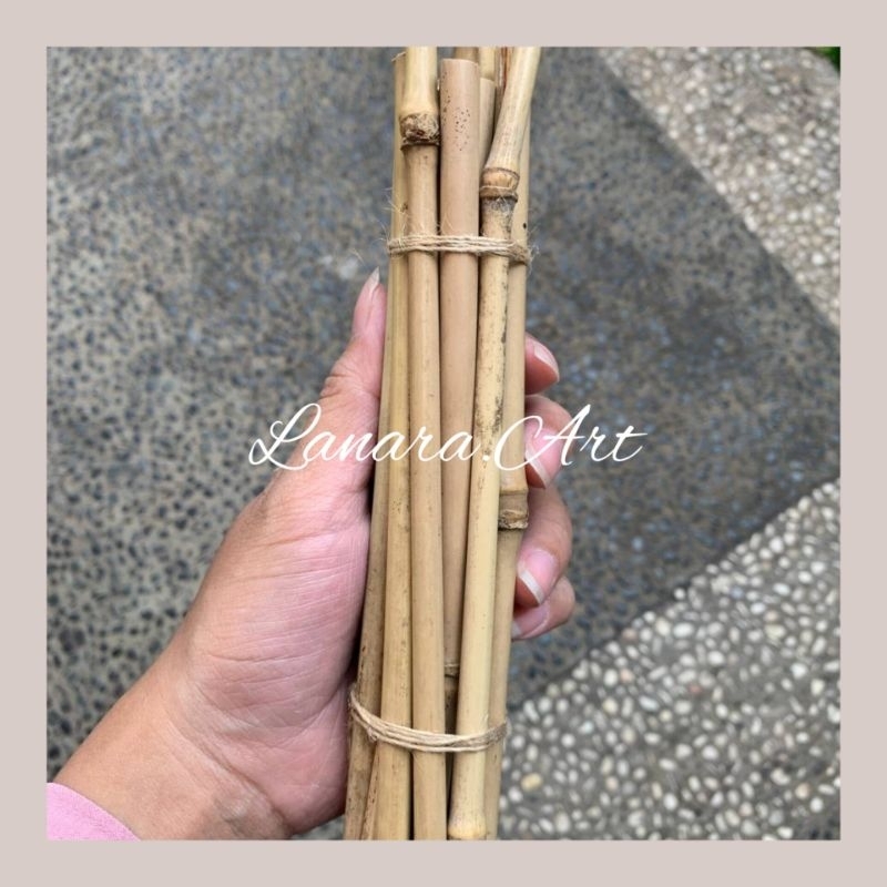 Jual 15 Pcs Ranting Bambu Kecil 18 - 21 cm Dekorasi Hiasan Prakarya ...