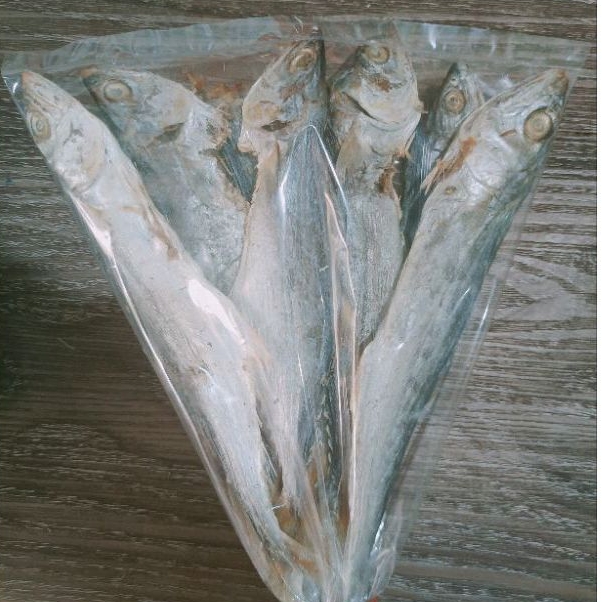 Jual ikan asin tenggiri beka bagan 250gram / BK Kering riau ukuran ...