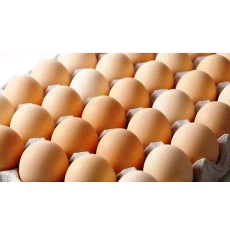 Jual TELUR AYAM 1 PAPAN 30 BUTIR | Shopee Indonesia