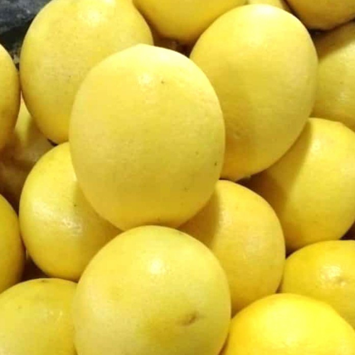 Jual Lemon California lokal 1kg l Jbp_Fresh | Shopee Indonesia