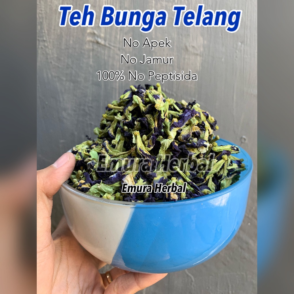 Jual Bunga telang 100 GRAM PREMIUM HALAL/ Teh Telang Kering/Teh Biru ...
