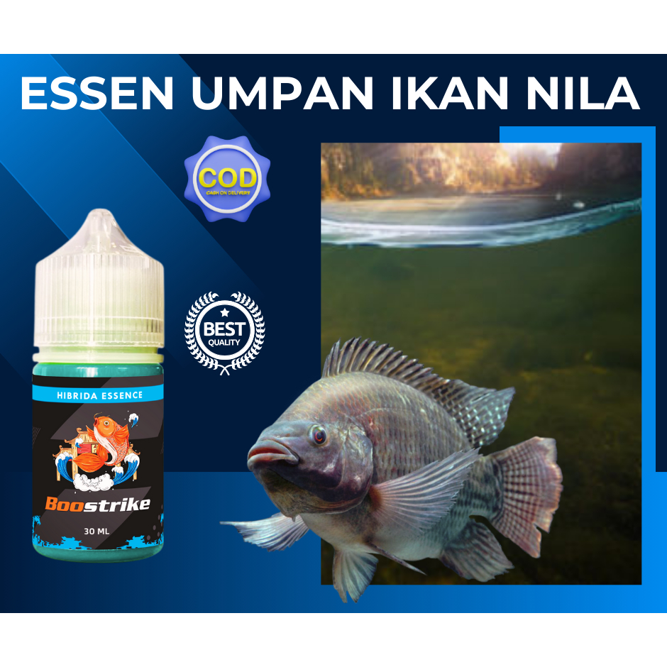 Jual Essen Ikan Nila Paling Ampuh Umpan Mancing Ikan Nila Gacor Essen Ikan Nila Media Lumut ...