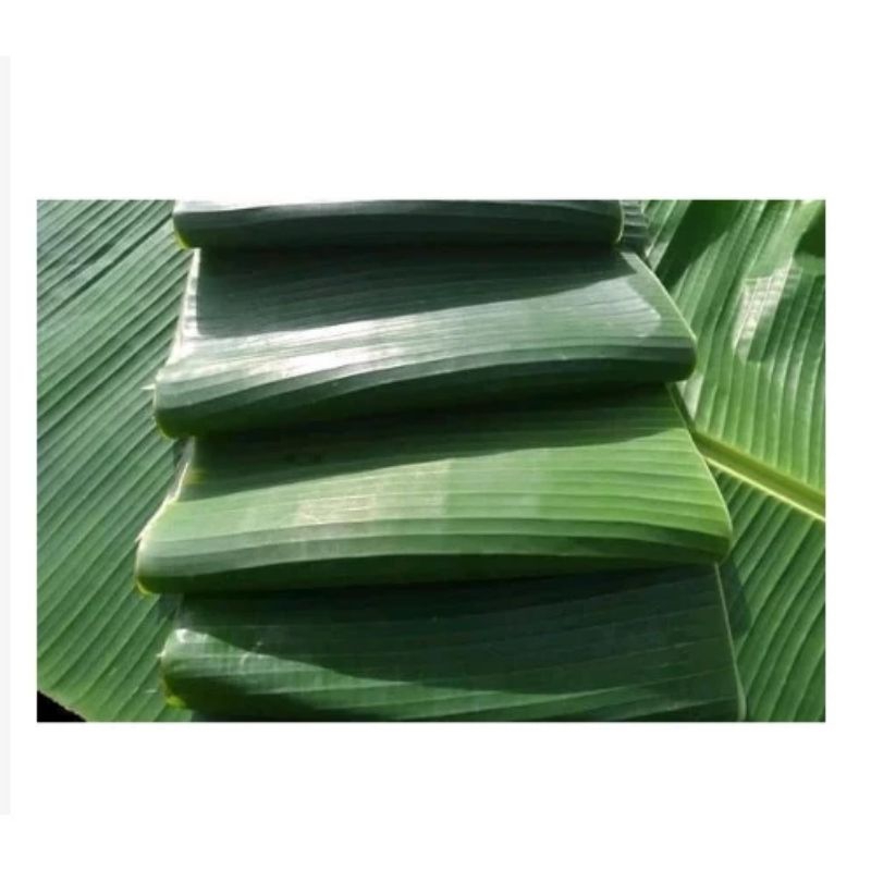 Jual DAUN PISANG SEGAR | Shopee Indonesia
