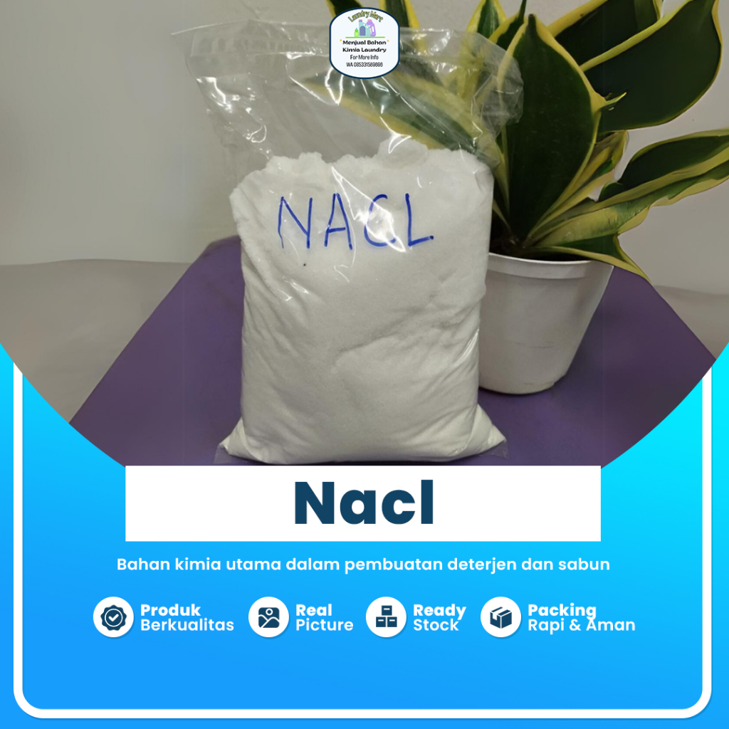 Jual Nacl Repack 1 Kg Bubuk Sodium Chloride Bahan Pembuatan Detergen Dan Sabun | Shopee Indonesia