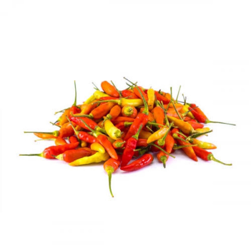 Jual CABE CABAI RAWIT MERAH SETAN SEGAR BOGOR 100 gram | Shopee Indonesia