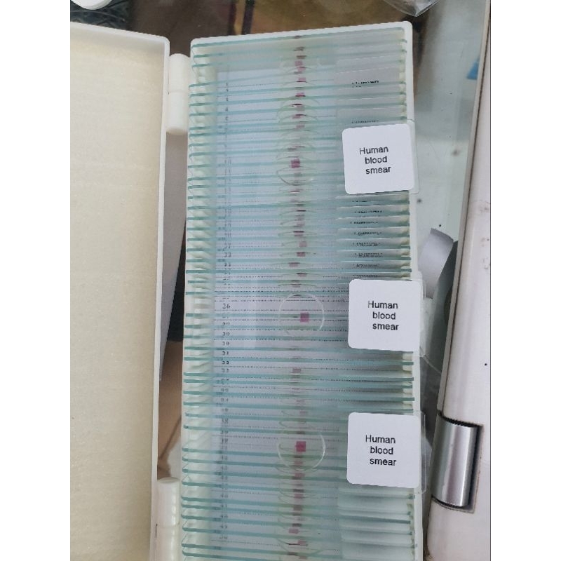 Jual Preparat Apusan Darah Blood Slide/ Blood Smear | Shopee Indonesia