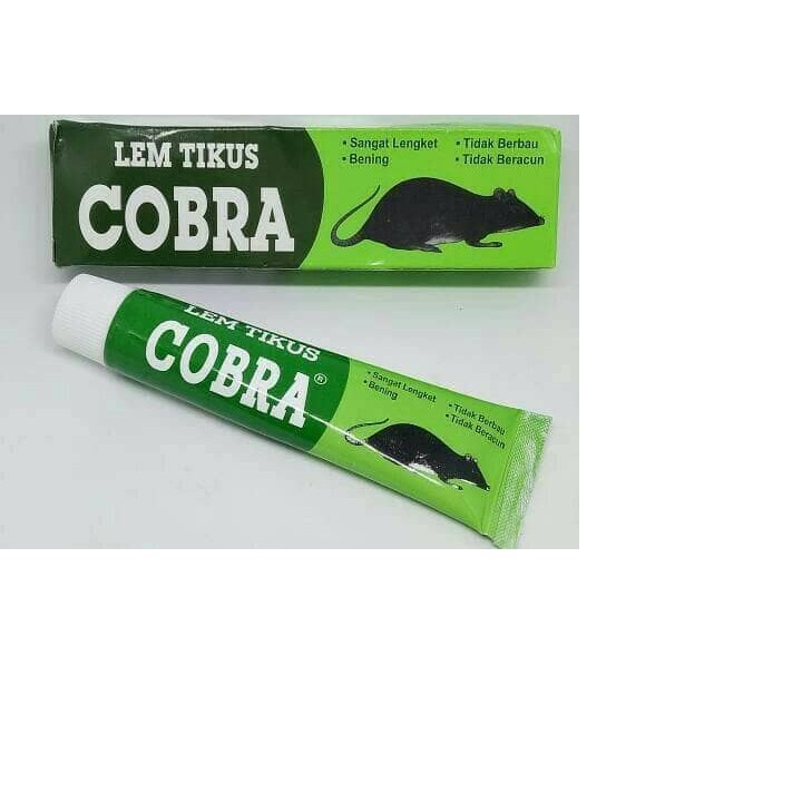Jual Lem Tikus Harga Terlengkap & Harga Terbaru Mei 2026 | Shopee Indonesia