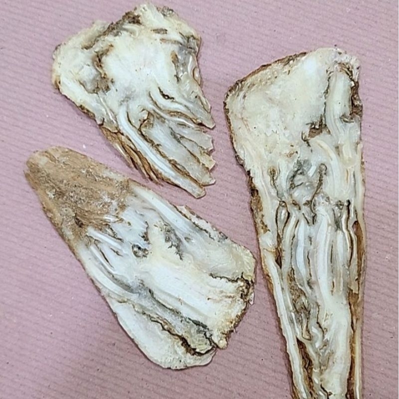 Jual tong kui / dang gui 当归 10 gram / radix angelicae sinensis | Shopee ...