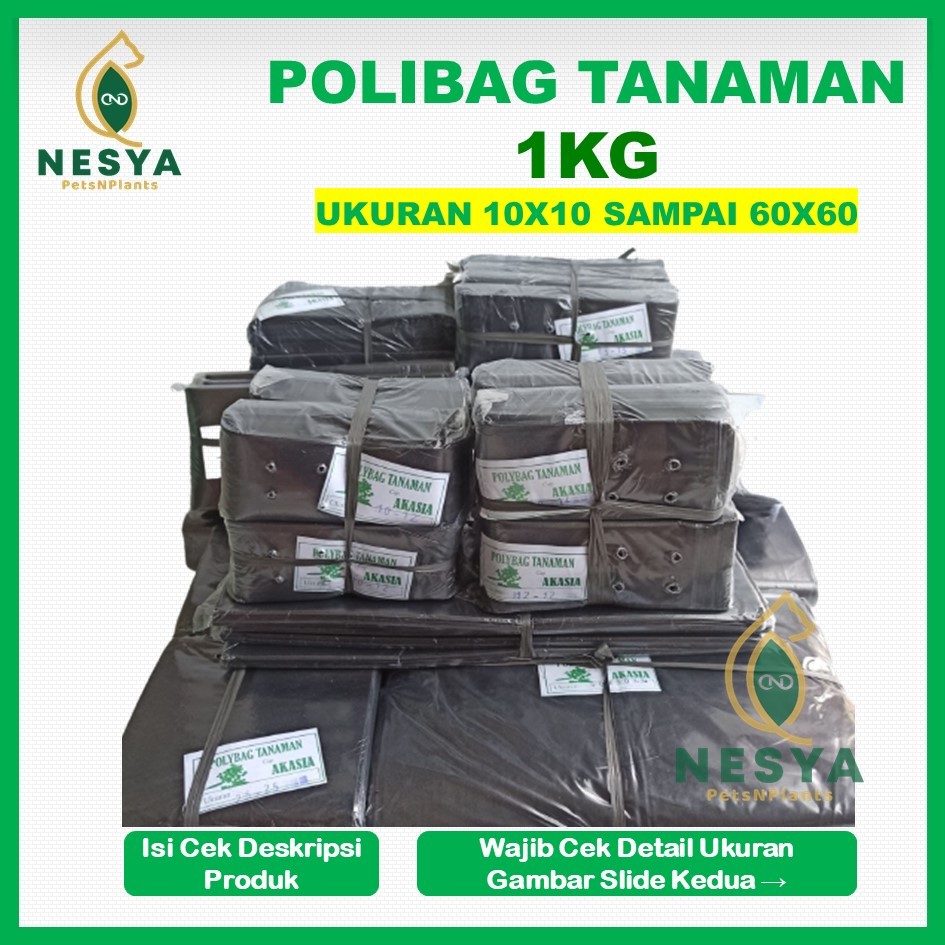 Jual Polybag Polibag Polibek 1kg Ukuran 10x10 10x12 10x15 12x12 12x15 ...