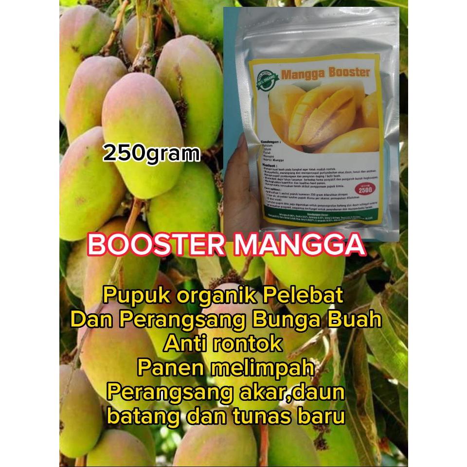 Jual Pupuk Organik Booster Mangga Perangsang Buah Agar Cepat Berbuah Lebat 250 gram | Shopee ...