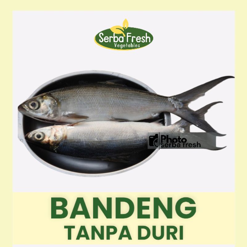 Jual BANDENG TANPA DURI JUMBO | SEDANG & BESAR | SERBA FRESH | Shopee ...