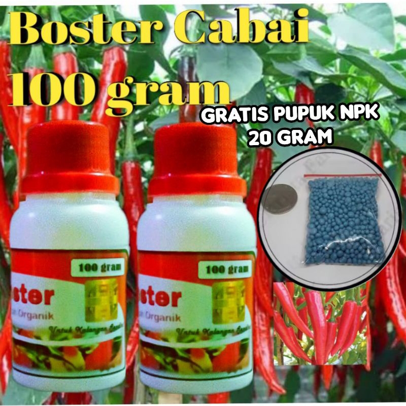 Jual Pupuk cabai booster pelebat buah, pembasmi hama obat semprot anti daun keriting dan rontok ...