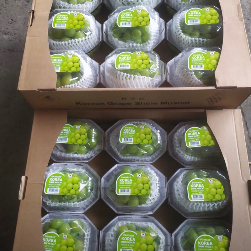 Jual Anggur Muscat Korea 450 grm Promo Spesial / Pack | Shopee Indonesia