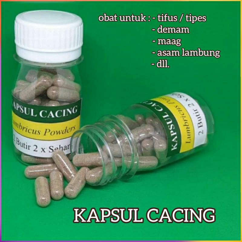 Jual Obat tipus kapsul cacing isi 30 pcs original/ kapsul cacing ...