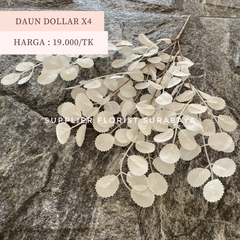 Jual [DAUN DOLLAR X4] DEDAUNAN ARTIFICIAL LEAF DAUN PALSU DOLLAR DOLAR ...