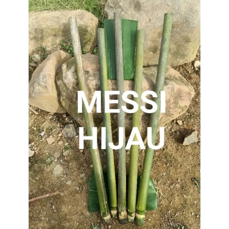 Jual BAHAN tembakan bambu pletokan perbatang (belum jadi) | Shopee ...