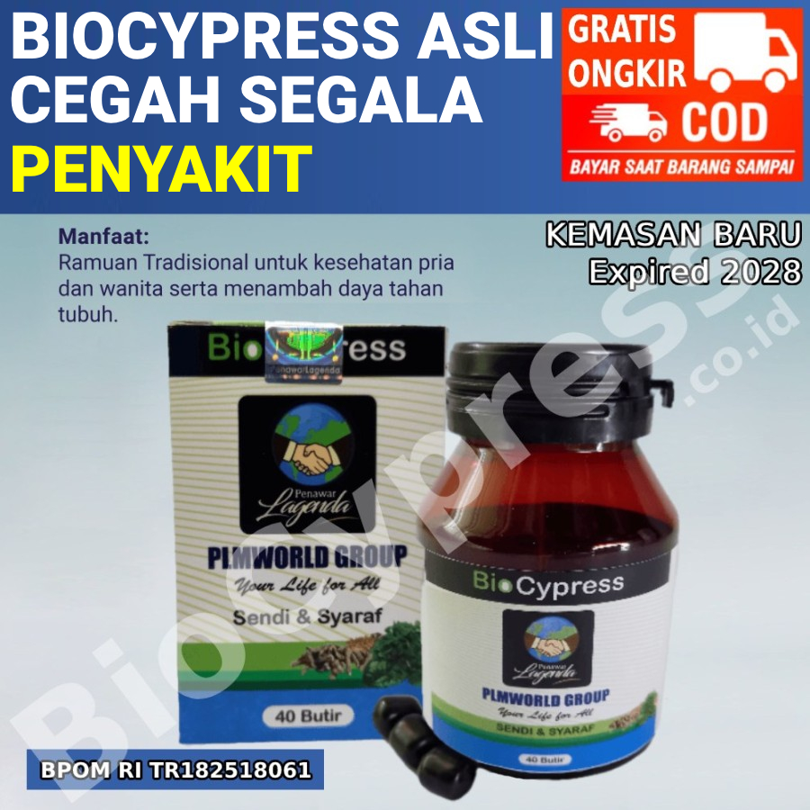 Jual BioCypress Original isi 40 Butir, Solusi Obat Herbal Stroke, Asam ...