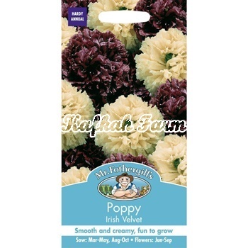 Jual Benih 3 Biji Bunga POPPY Irish Velvet | Shopee Indonesia