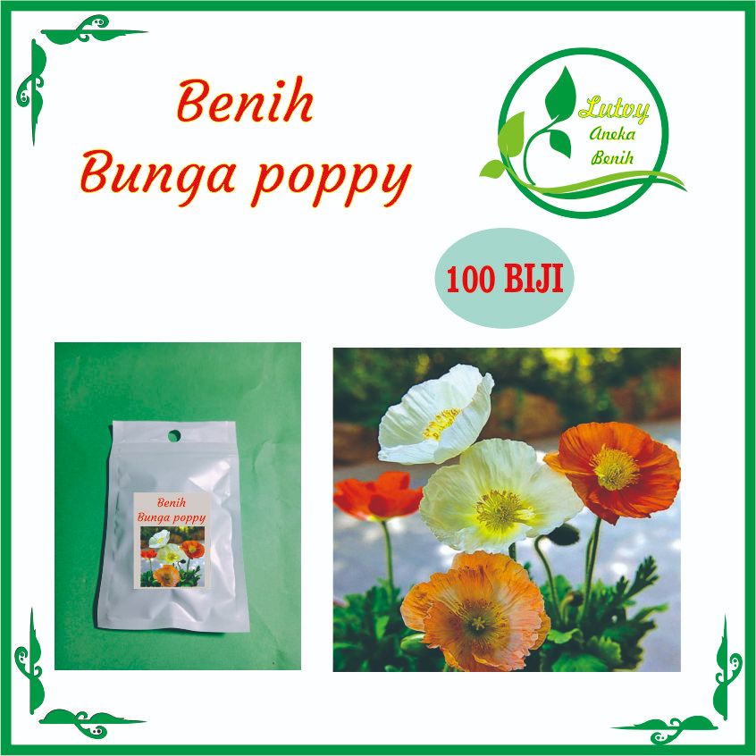 Jual BENIH BUNGA POPPY ISI 100 BIJI | Shopee Indonesia