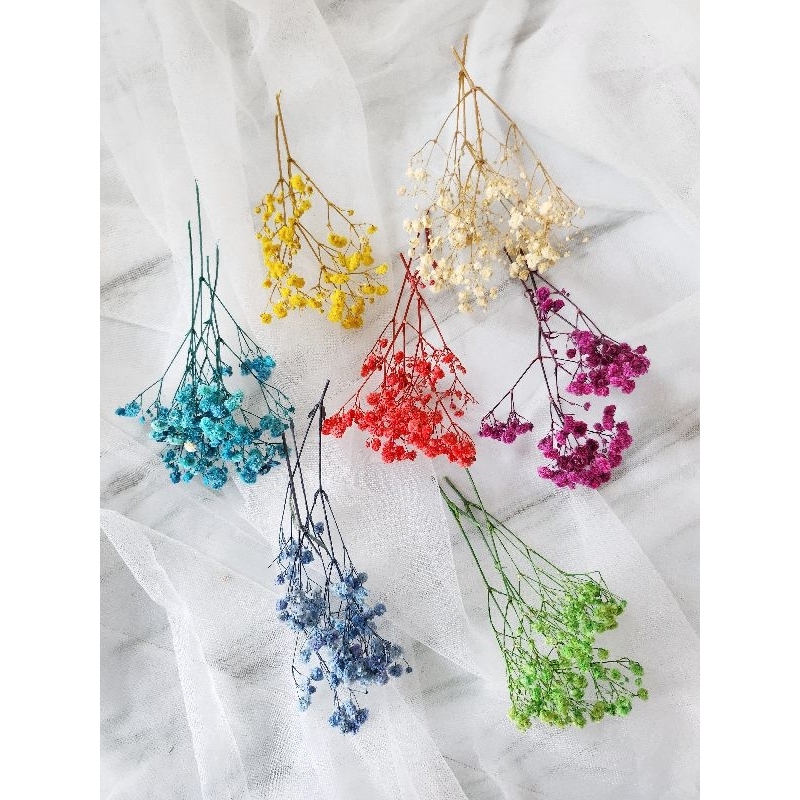 Jual ecer baby breath mini preserved flower - dried flower - bunga ...