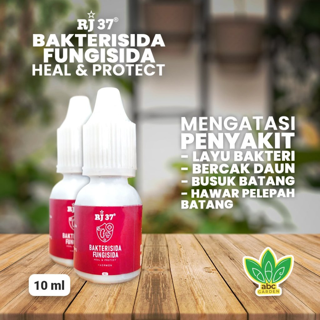 Jual Bakterisida dan Fungisida Organik RJ 37 Mengatasi Layu Bakteri ...