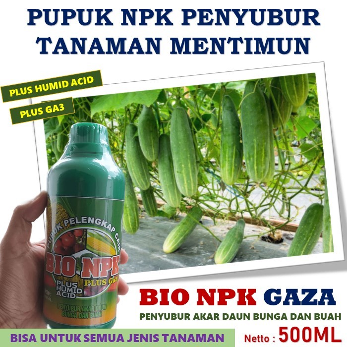 Jual Pupuk Timun Berbuah Lebat BIO NPK GAZA Pupuk Penyubur Tanaman Mentimun yang Bagus dan Ampuh ...