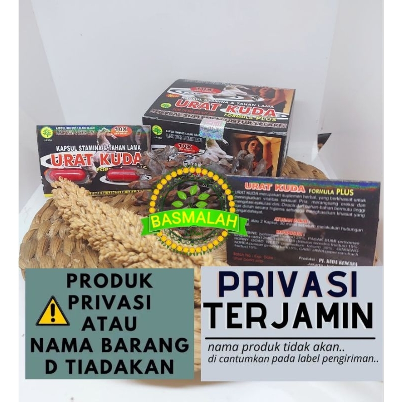 Jual kapsul urat kuda 10x amplop original | Shopee Indonesia