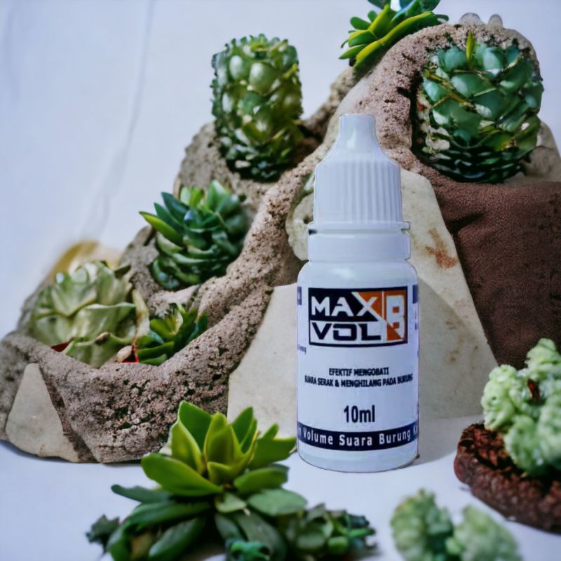 Jual MAX VOL - B | Shopee Indonesia