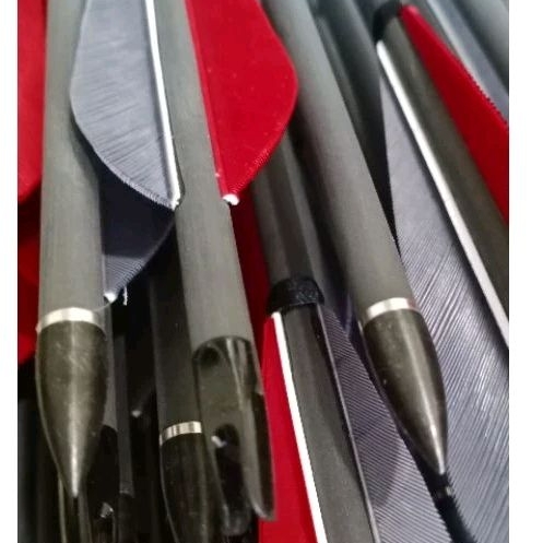 Jual Arrow Premium Pure Carbon AF Spine 400 | Shopee Indonesia