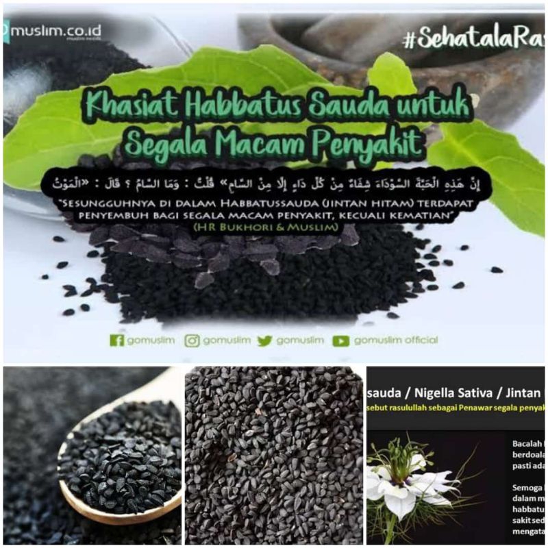 Jual Biji Jintan Hitam Habbatussauda Black Cumin Asli Murni Original ...