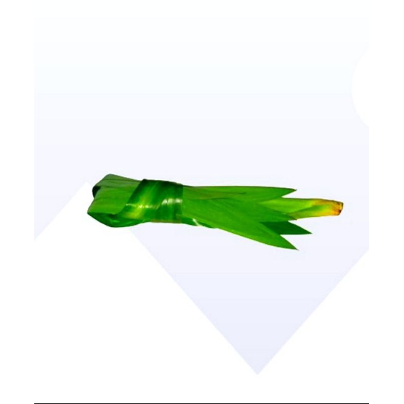 Jual Daun Pandan Wangi Segar 1 Ikat (20 Lembar) | Shopee Indonesia