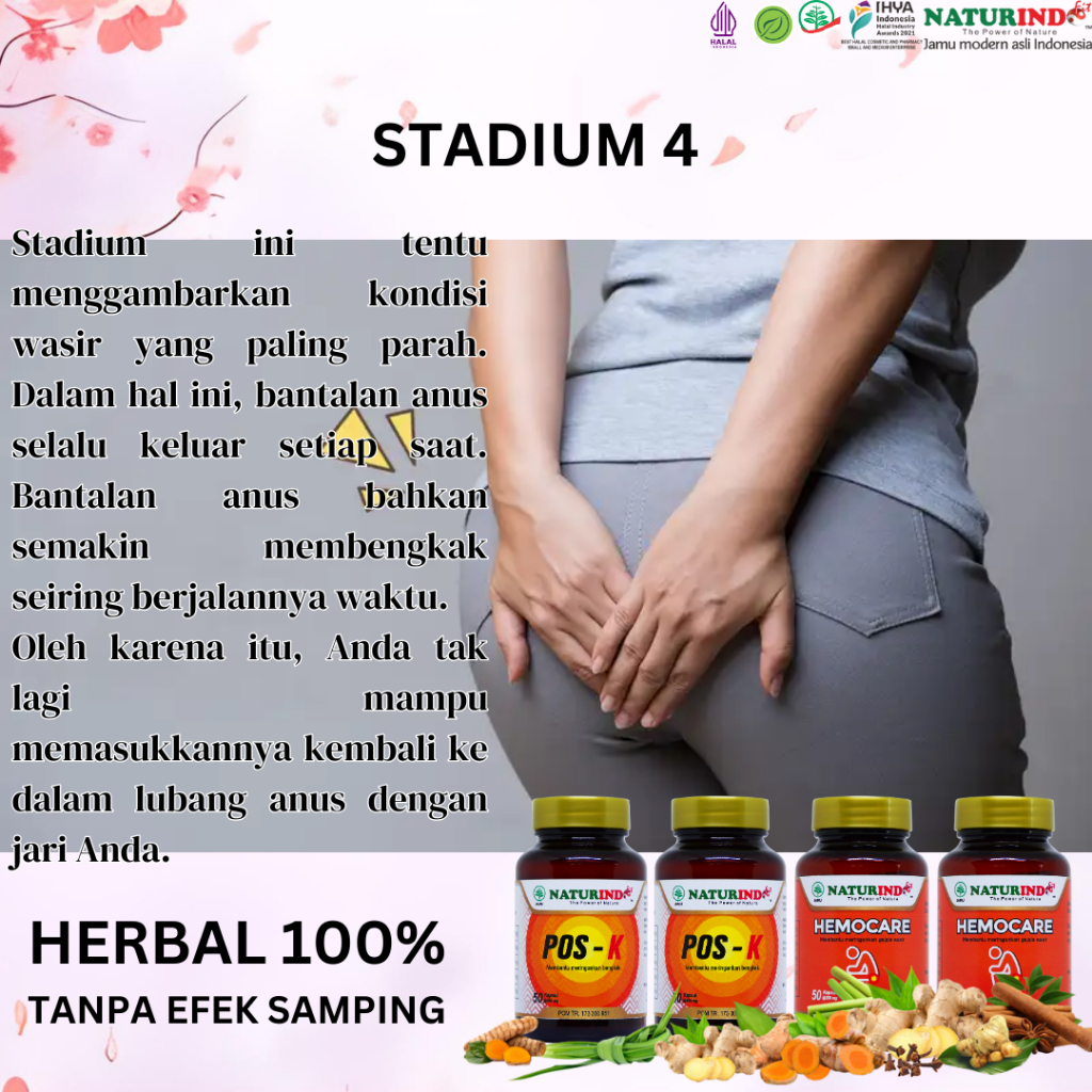 Jual Obat Ambeien Wasir Hemoroid BAB Berdarah Benjolan Anus Stadium 1 2 3 4 Herbal Alami ...