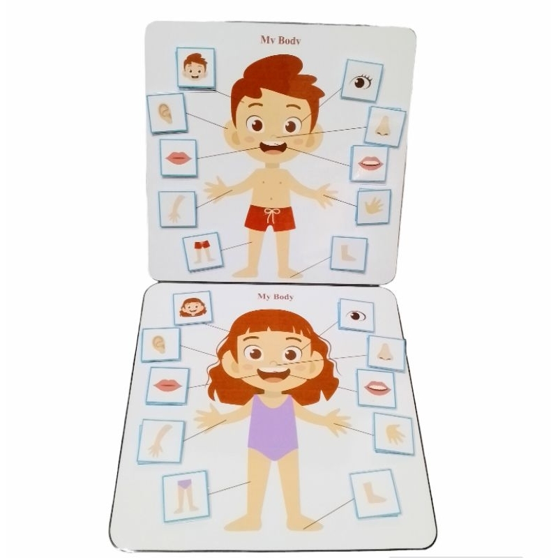 Jual mainan edukasi anak / mainan puzzle Montessori anak / flash card ...