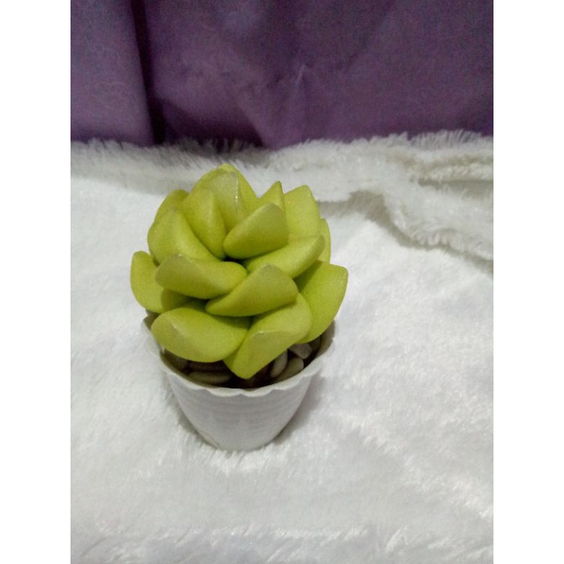 Jual Lirakha Bunga hias sukulen mini bahan stoking | Shopee Indonesia