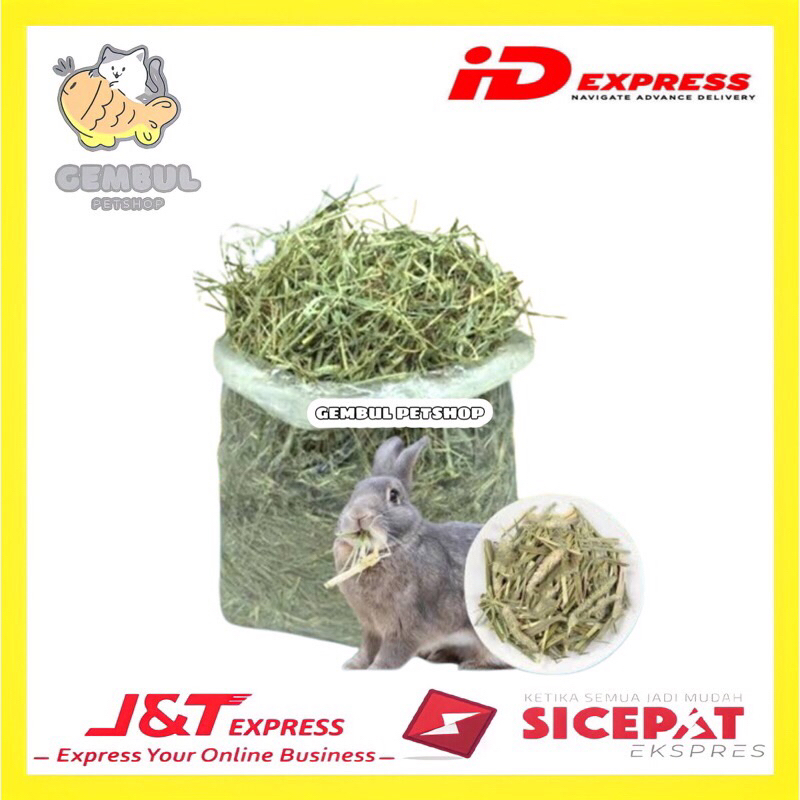Jual GEMBUL PETS COD TIMOTHY HAY 500gr | For Rabbit Chinchillas Guinea ...